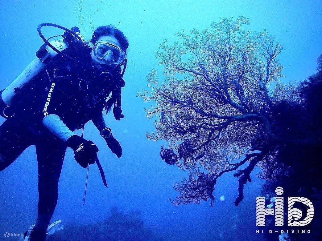 恒春垦丁水肺潜水体验开放水域潜水员课程open Water Diver Klook客路